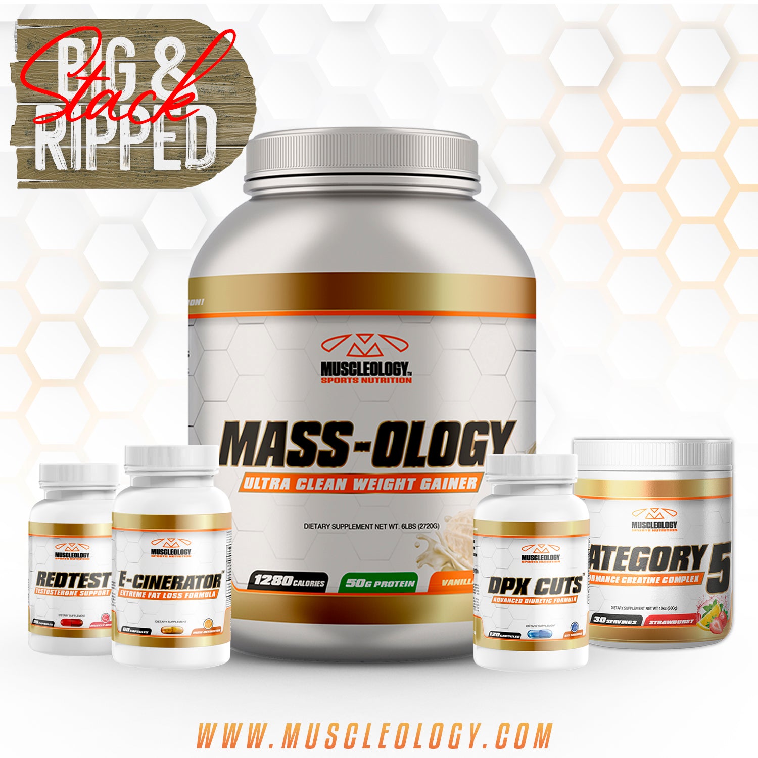 Big & Ripped Stack – Build Lean Mass with Strength & Shred Support | Muscleology - Muscleology ...
